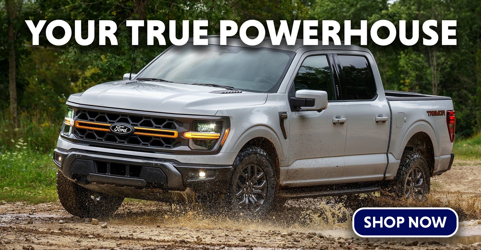 Your Ford F-150 Buying Guide | Palmetto Ford